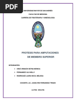 Escala San Elian Minsal | PDF | Pie | Enfermedades y trastornos humanos