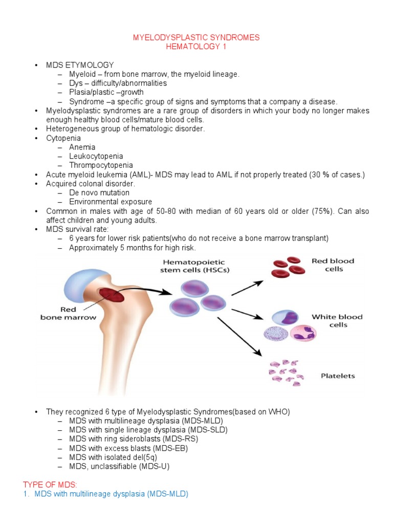 Myelodysplastic Syndromes Hematology 1: 1. MDS With Multilineage ...