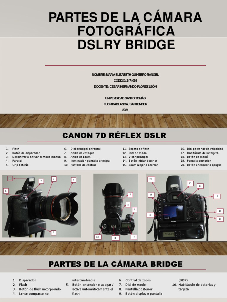 Partes de Una Cámara Reflex y Una Bridge-Maria Elizabeth Quintero ...