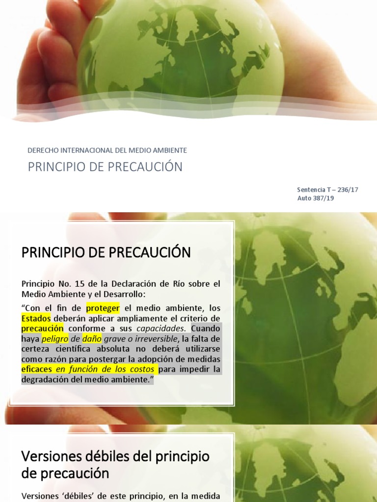 Principio de Precaución | PDF | Riesgo
