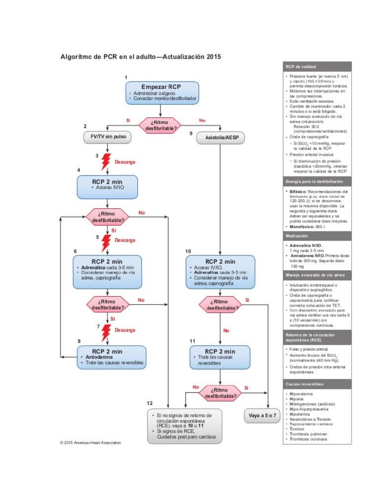 Algoritmo RCP Basico | PDF
