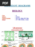 Class 10 Life Processes Notes | PDF