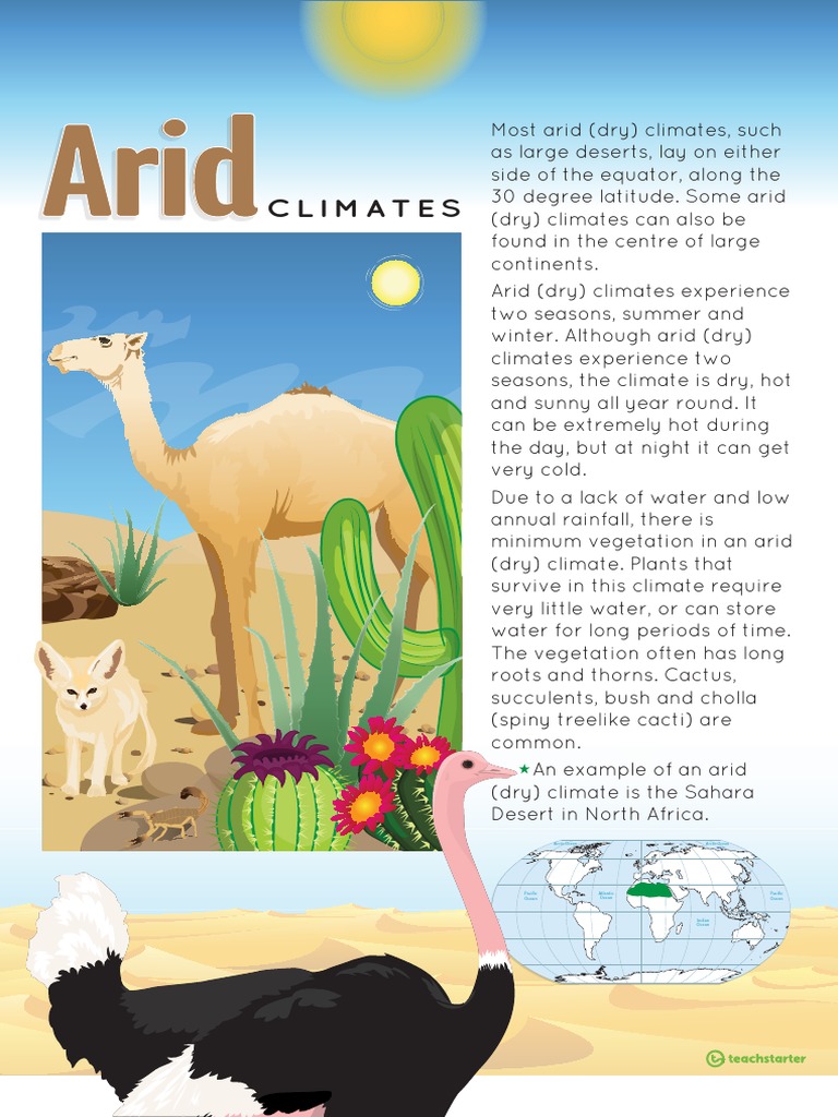 Teachstarter 153870 Poster Climate Zones Arid en Au | PDF