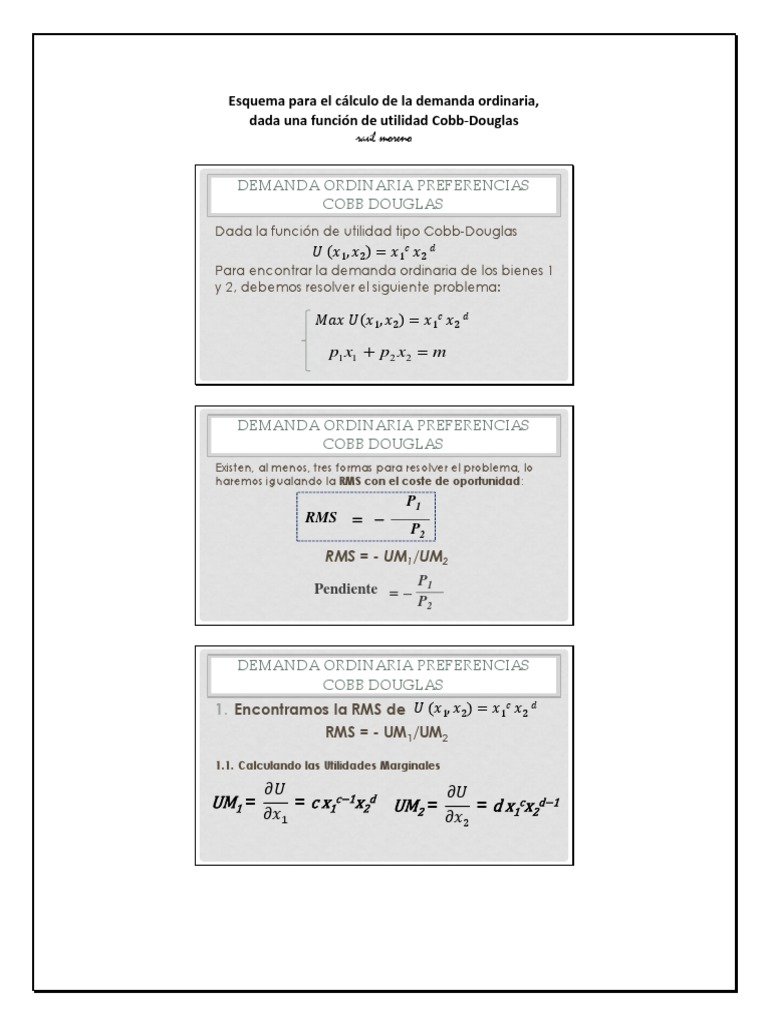 Esquema para El Cálculo de La Demanda Ordinaria | PDF