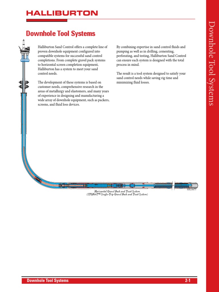 Section 2 - Downhole Tool Systems | PDF | Chemical Engineering | Chemistry
