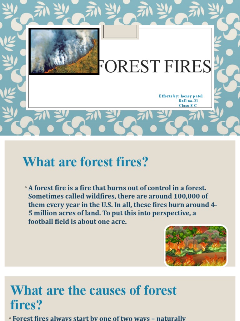 Forest Fires! | PDF