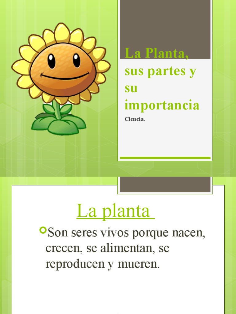 Partes e Importancia de las Plantas | PDF