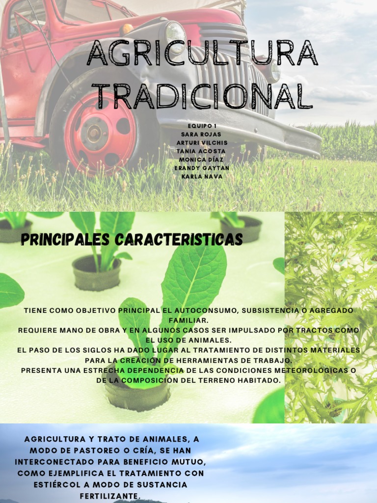 Agricultura Tradicional | PDF | Agricultura | Suelo