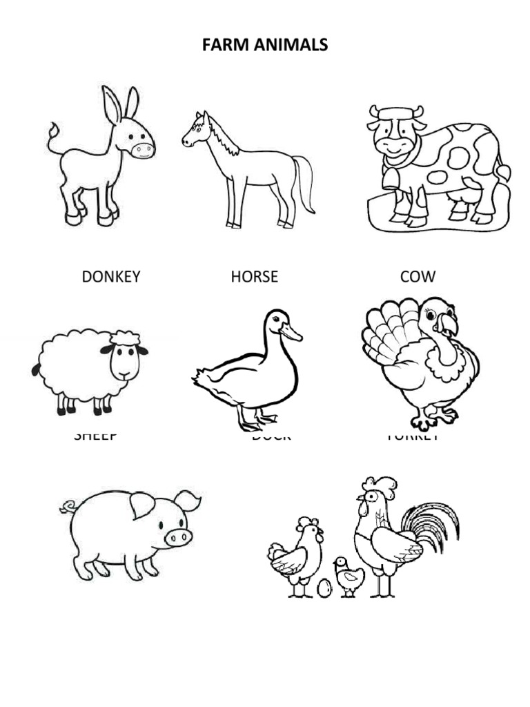 Common Farm Animals List | PDF