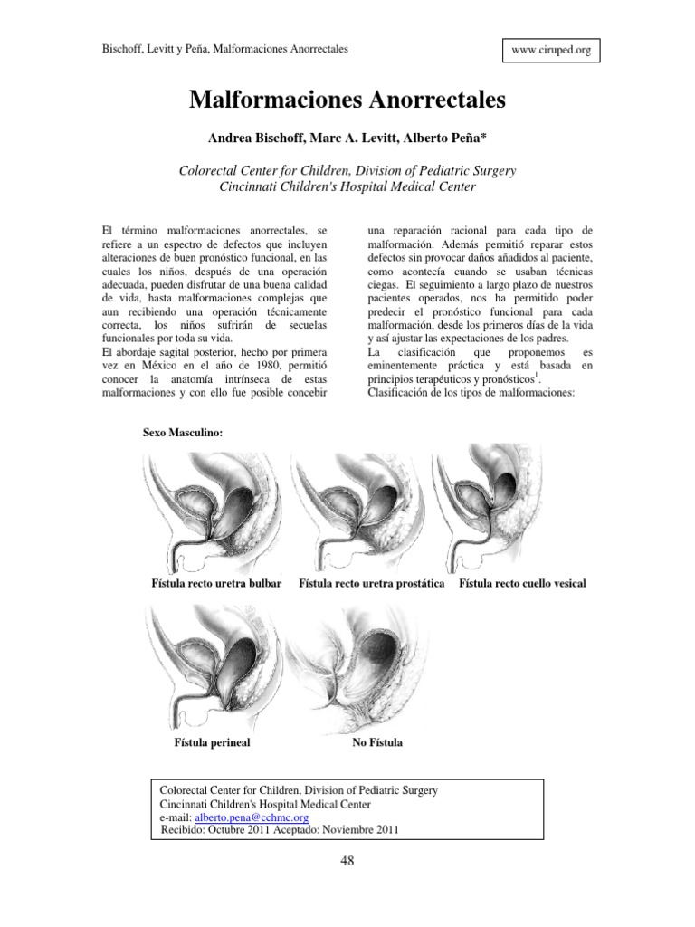 Malformaciones Anorrectales | PDF | Vejiga urinaria | Vagina
