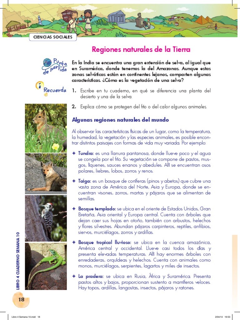Regiones Naturales de la Tierra | PDF | Clima | Selva