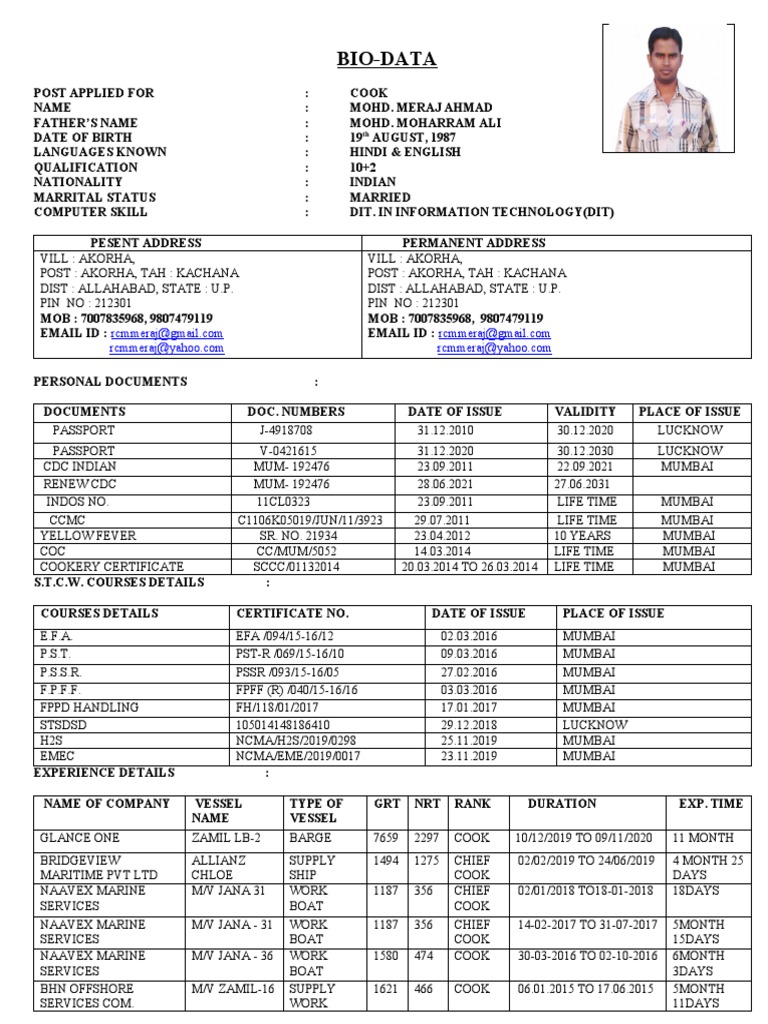 Meraj. Bio Data | PDF