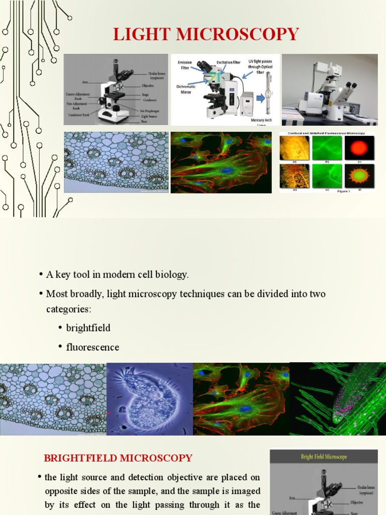 Microscopy Lecture | Download Free PDF | Microscopy | Fluorescence ...