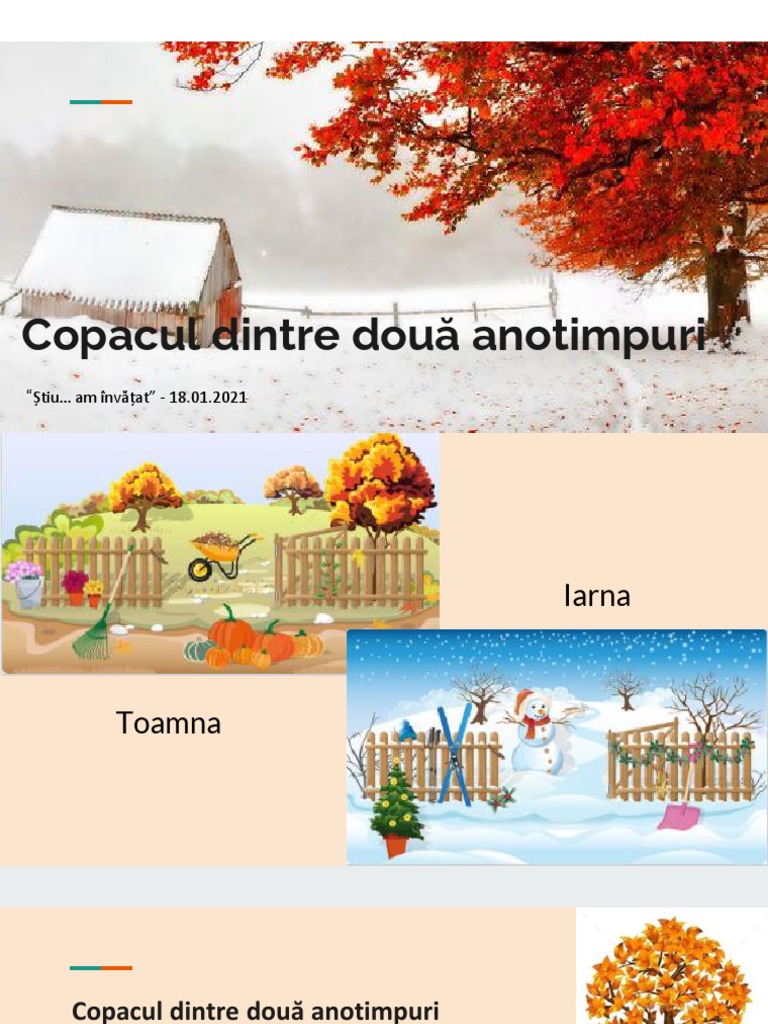 Copacul Dintre Două Anotimpuri | PDF