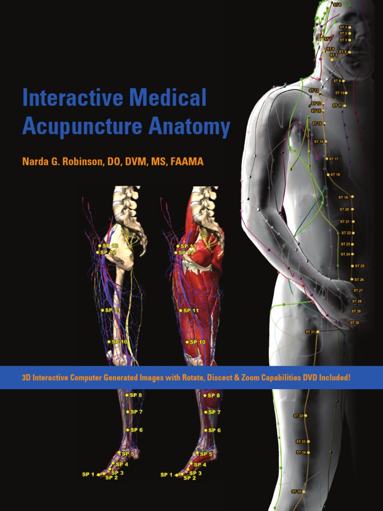 Interactive Medical Acupuncture Anatomy. 2016 Narda G. Robinson | PDF ...