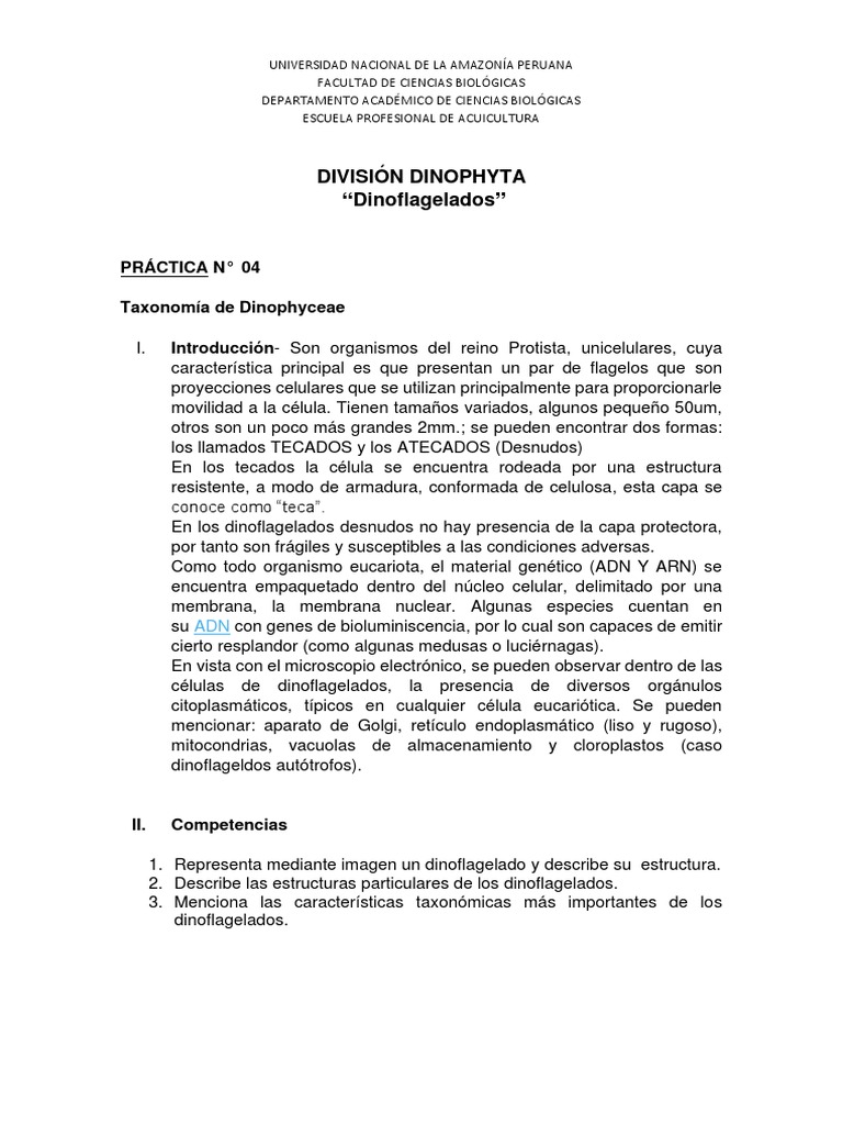 Ficología Continental Actividad 4 - Dinophyta | PDF | Biología Celular) | Biología