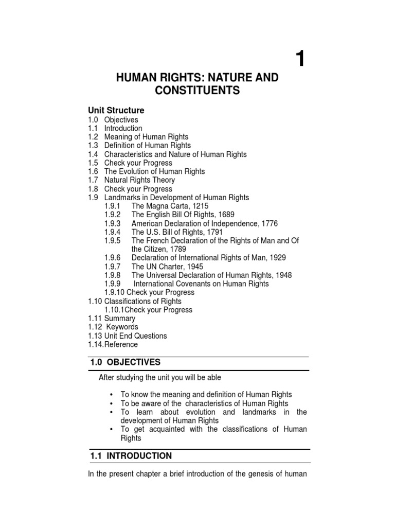 Human Rights | PDF