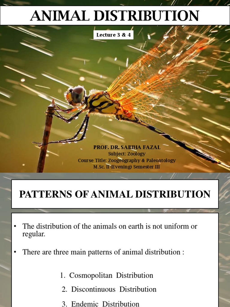 Animaldistributioniii | PDF | Organisms