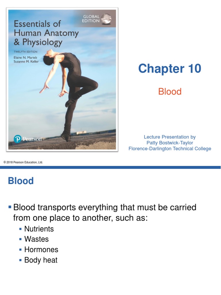Blood | PDF | Blood Type | White Blood Cell