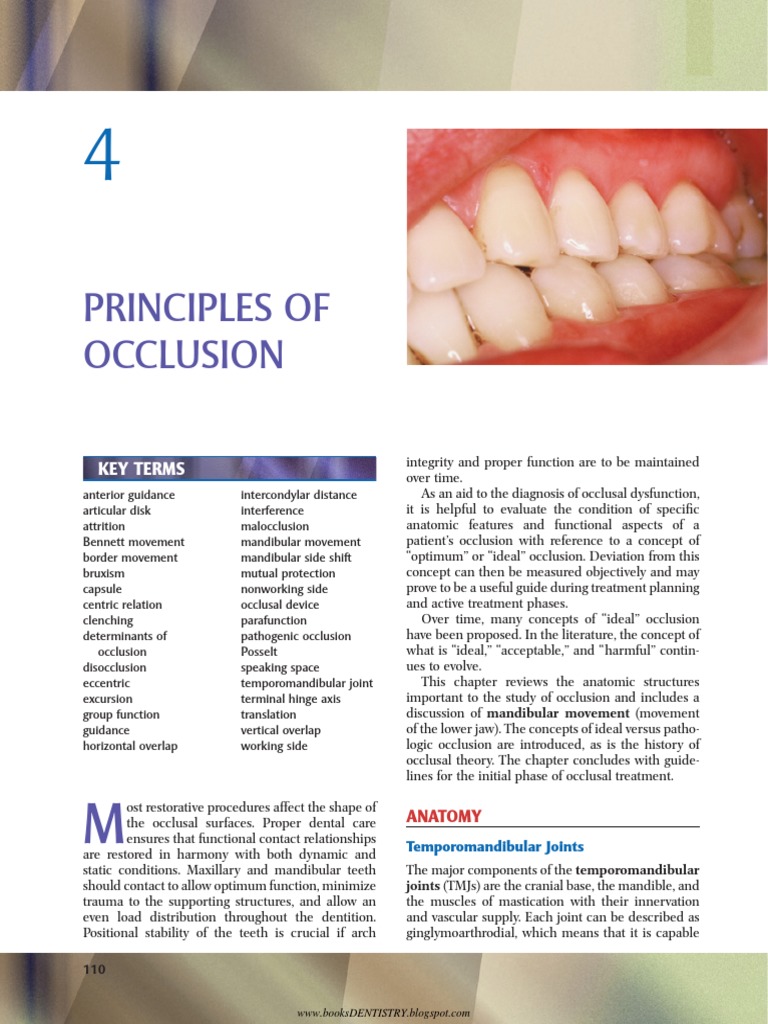 Principles of Occlusion: Key Terms | PDF | Human Anatomy | Human Head ...