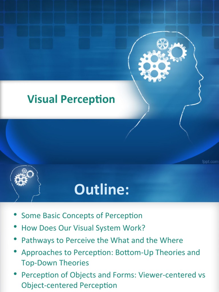 Chapter 3. Visual Perception - 2.0 | PDF | Perception | Top Down And ...