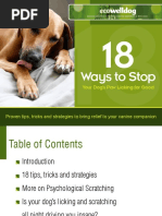 Dunbar Dog Bite Severity Scale | PDF | Dogs | Wound