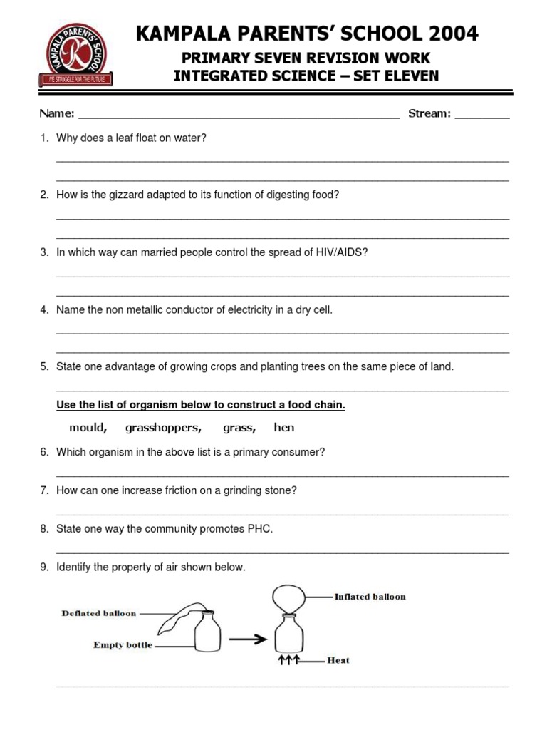 Primary Seven Revision Questions PDF | PDF | Science & Mathematics