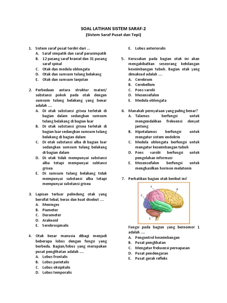 Soal Latihan Sistem Saraf | PDF