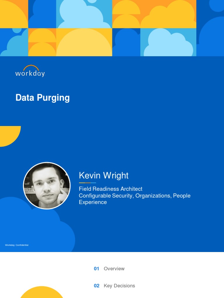 Data Purge Next Level | PDF | Information Privacy | Risk