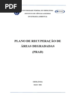 Modelo Do Prad Simplificado-Ativividade | PDF