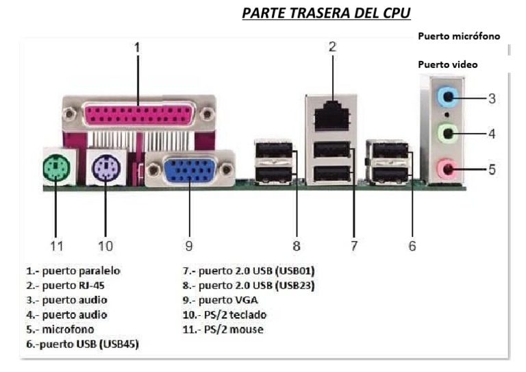 Parte Trasera Del Cpu | PDF | Informática