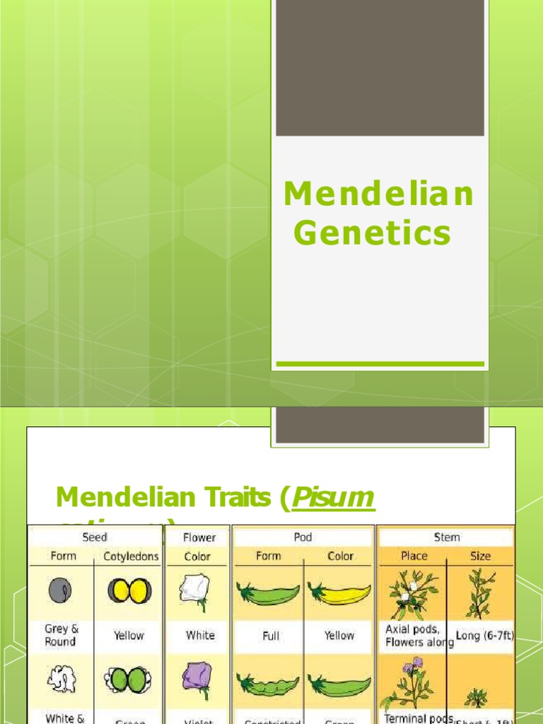 Understanding the Fundamental Laws of Mendelian Genetics: Dominance ...