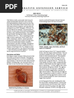 Standard Operating Procedure For Pest Control | PDF | Pest Control ...