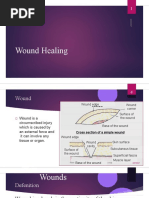 Pop Application | PDF | Musculoskeletal System