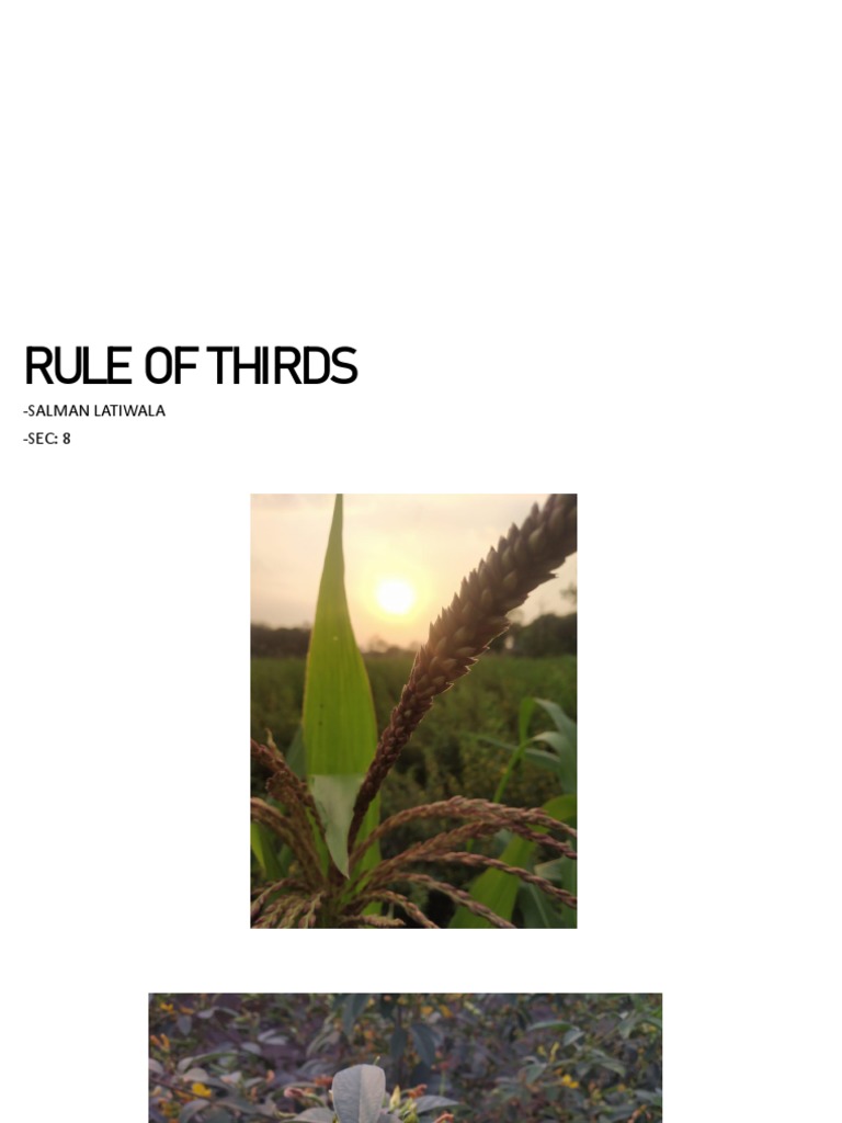 Rule of Thirds | PDF
