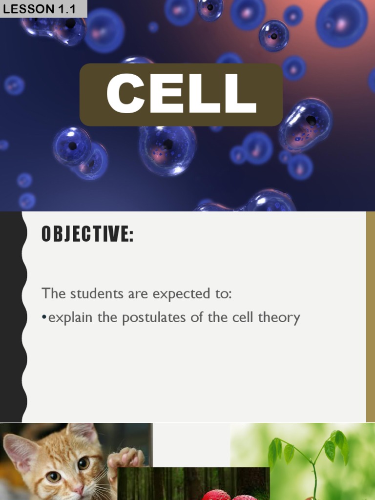 Cell Theory | PDF