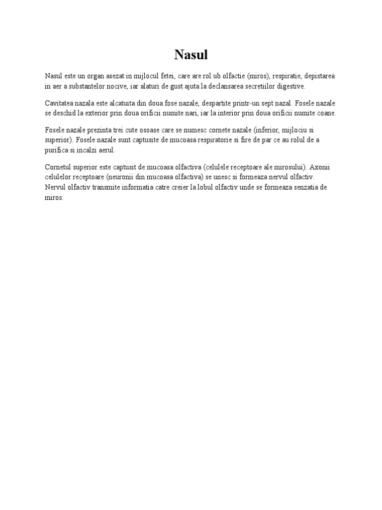 Nasul | PDF