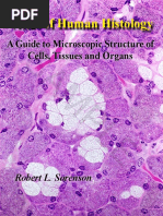 Human Histology Atlas Overview | PDF | Stomach | Gastrointestinal Tract