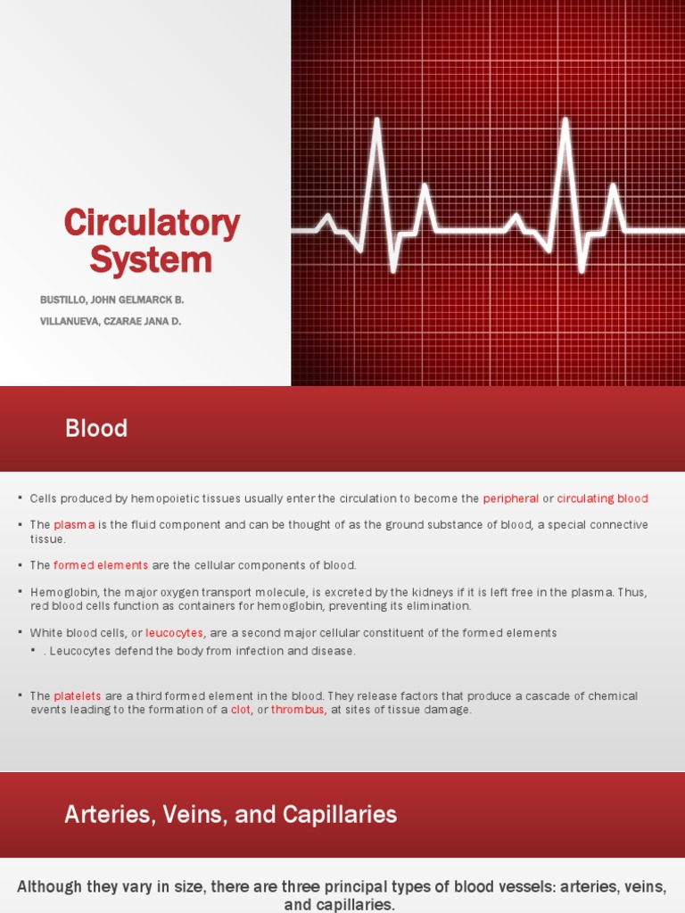 Circulatory System PPT 1 | PDF | Aorta | Heart