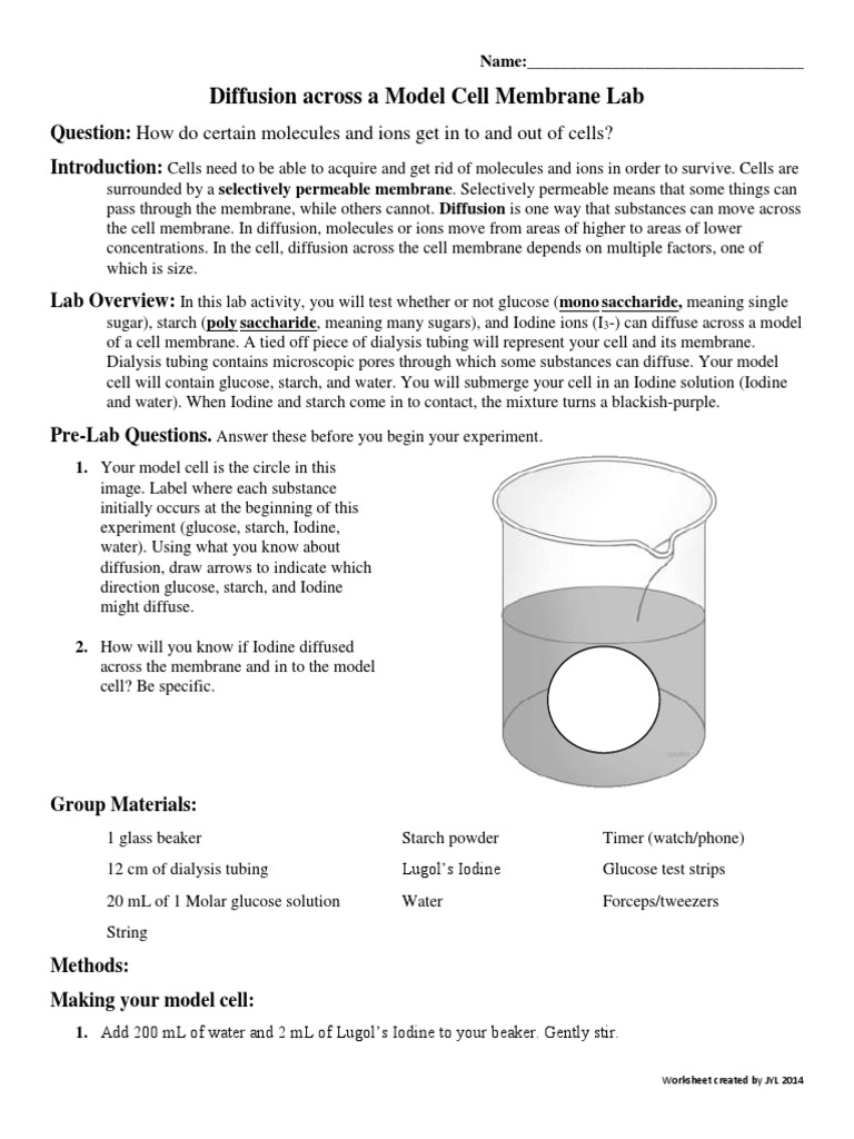Dialysis Experiment | PDF | Cell Membrane | Glucose