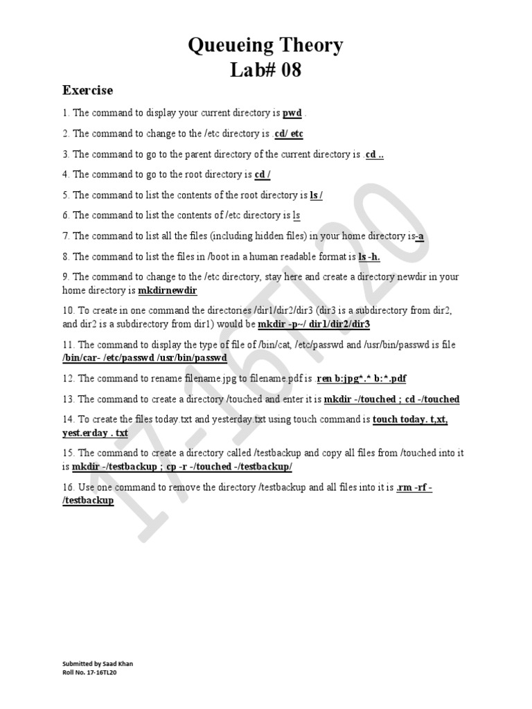 Linux Command Exercises Guide | PDF | Computer File | Filename