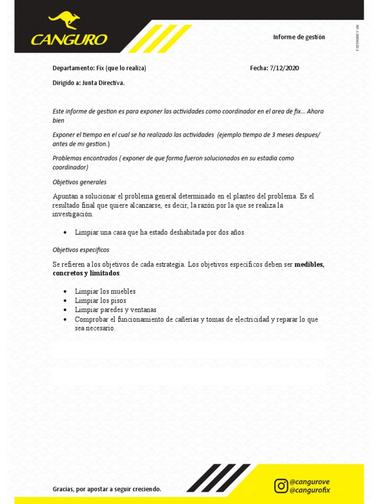 Modelo de Informe de Gestión | PDF