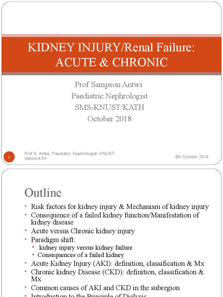 KIDNEY INJURY/Renal Failure: Acute & Chronic: Prof Sampson Antwi ...