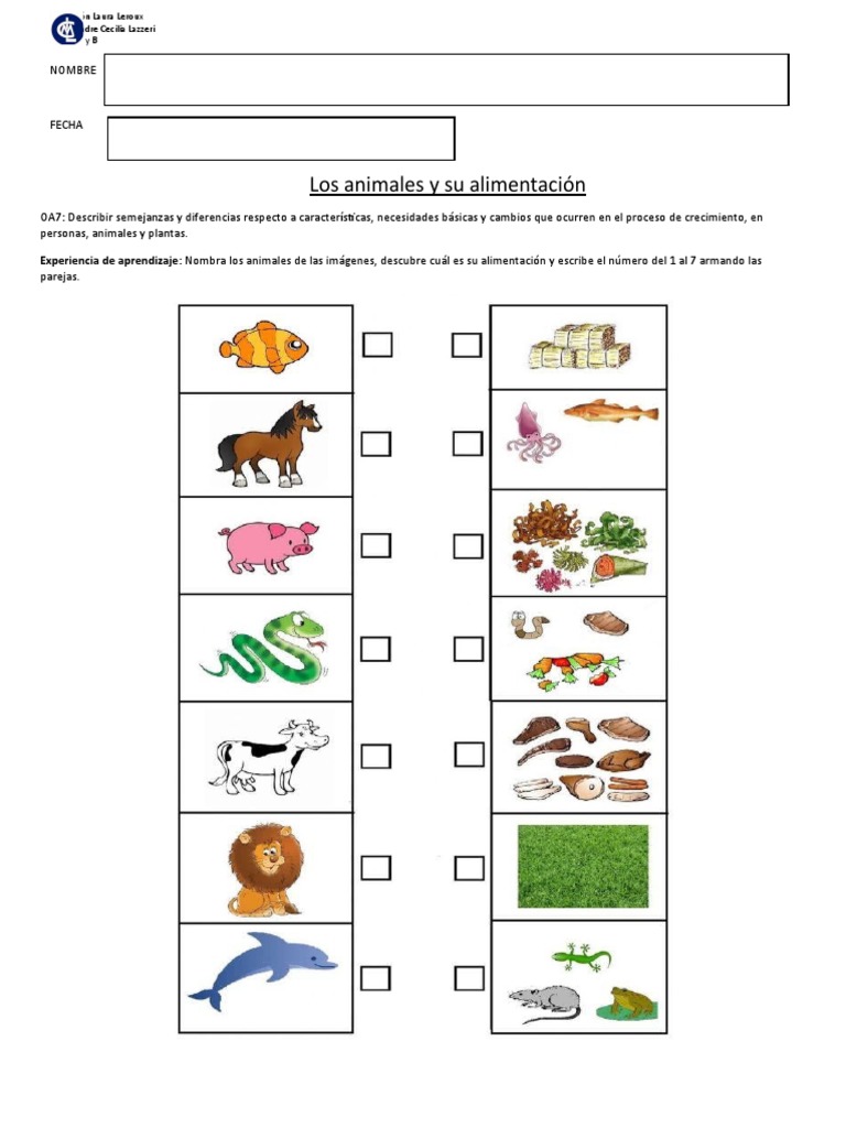 Guía 2 Los Animales y Su Alimentación | PDF