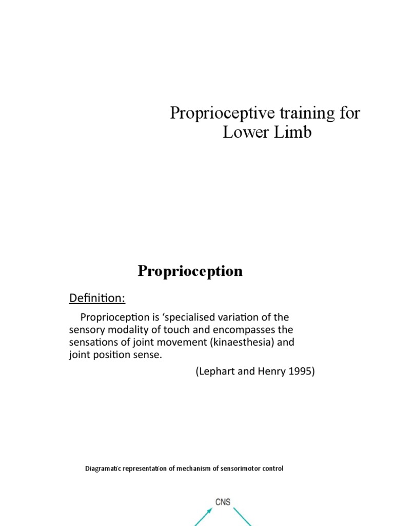 Proprioception of Knee | PDF | Neuroscience | Physical Exercise