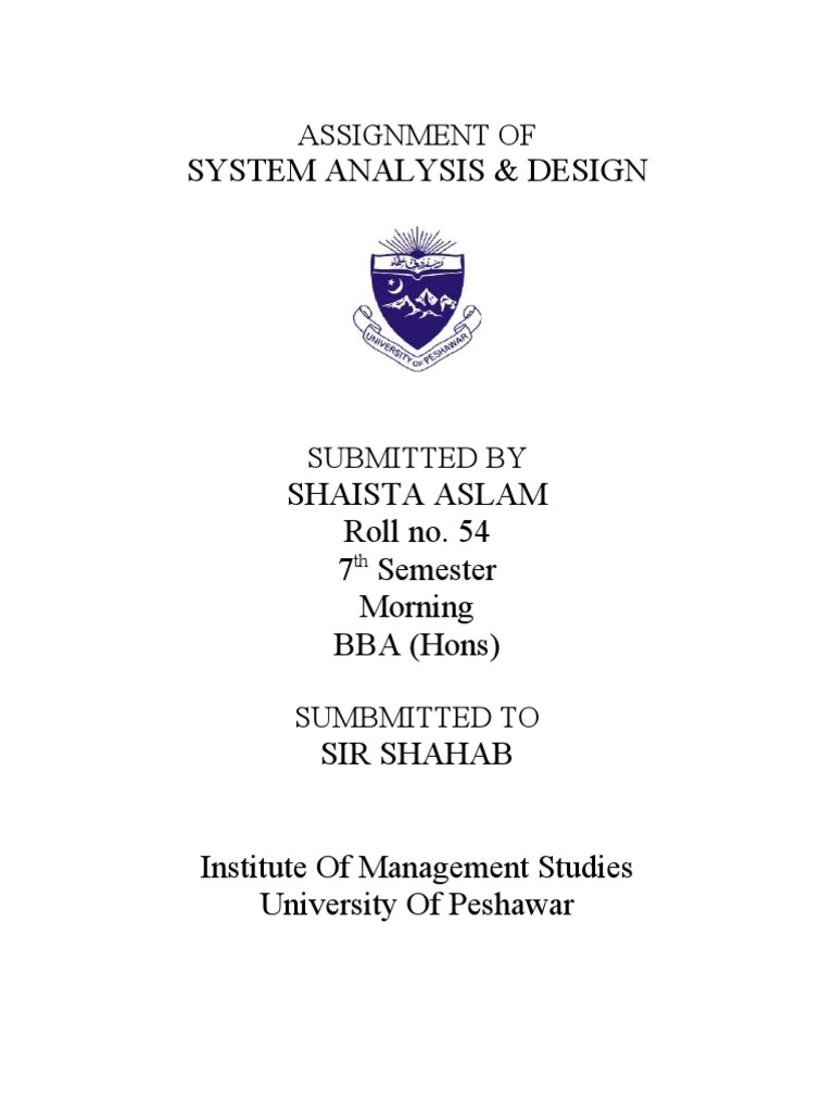 System Analysis & Design: Assignment of | PDF | Copyright Infringement | Security Hacker