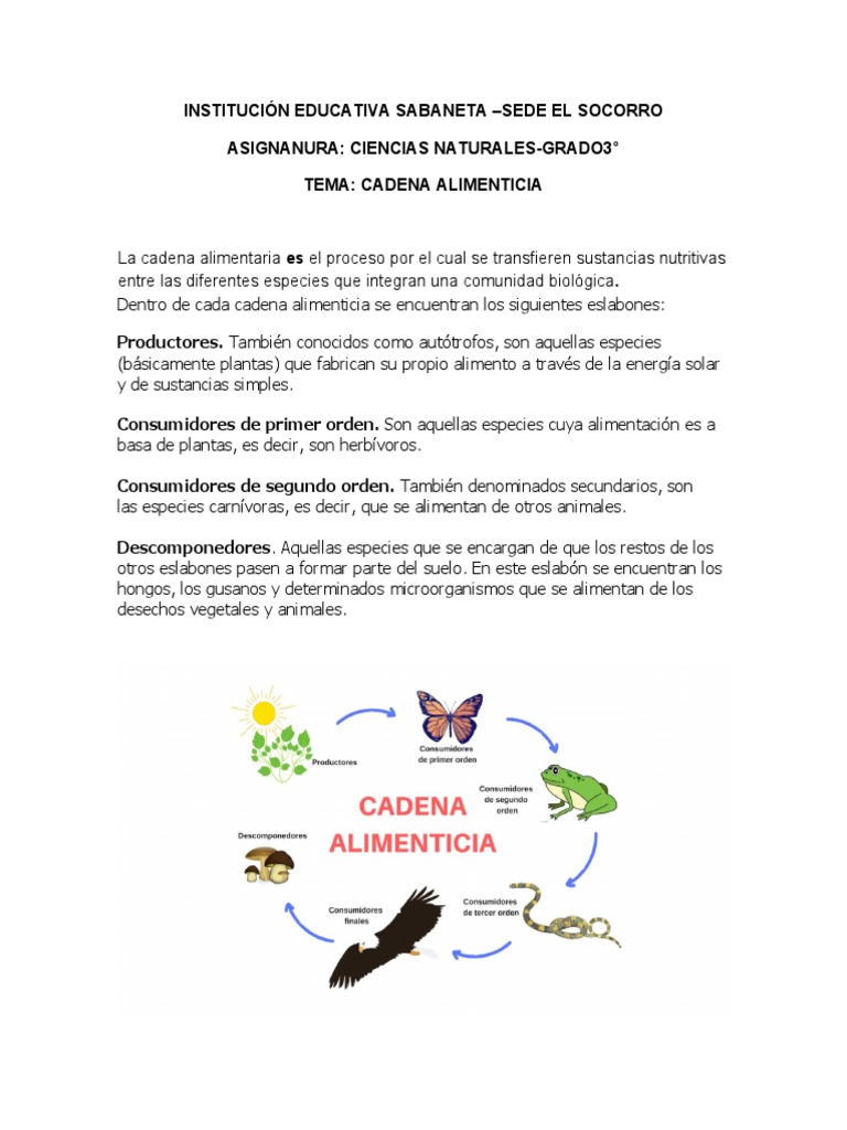 Cadena Alimenticia-Grado 3º | PDF