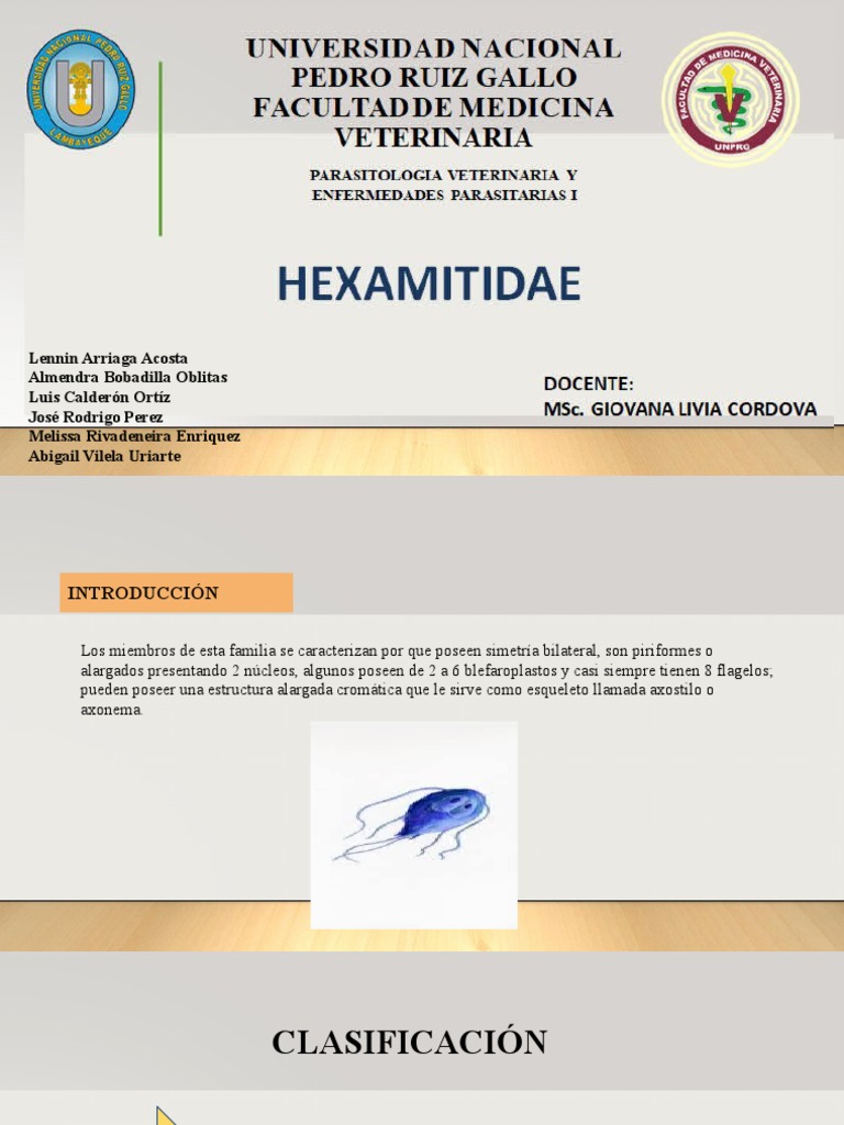 Hexamita meleagridis y sus efectos en aves | PDF | Diarrea | Biología