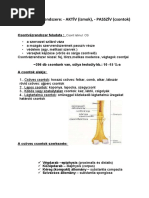 Az Emberi Test Felépítése Anatómia Ápolás | PDF