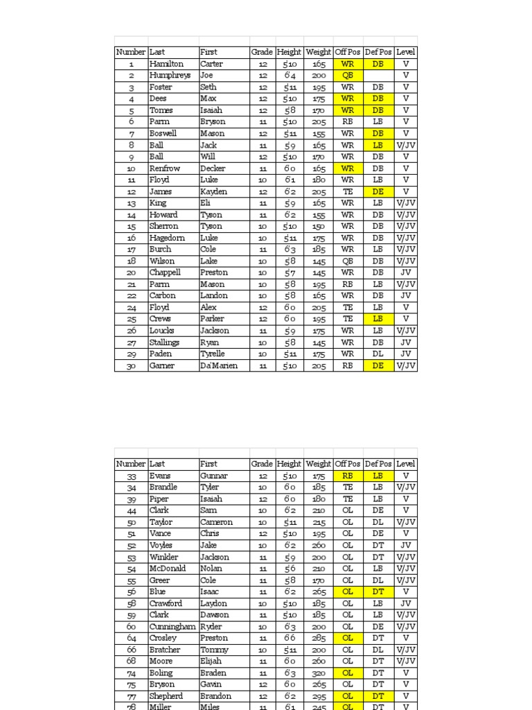 DCHS Football Roster - Sheet1 | PDF | National Football League Teams ...